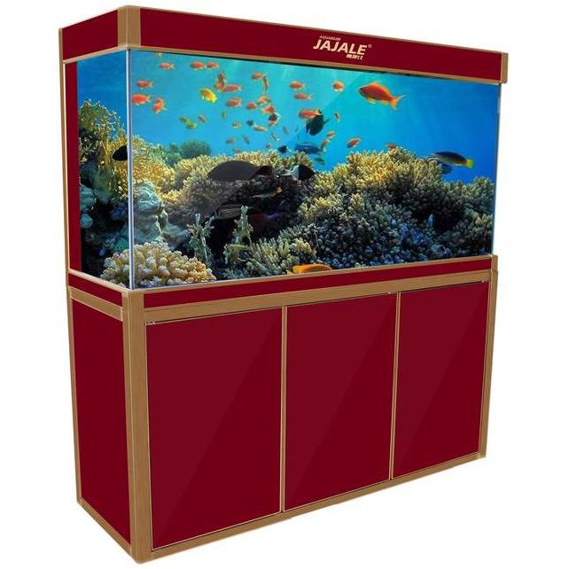 175 Gallon Fish Tank