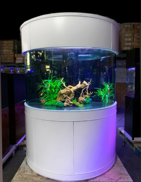 220 Gallon Half-Moon Fish Tank - Fishy Hubs